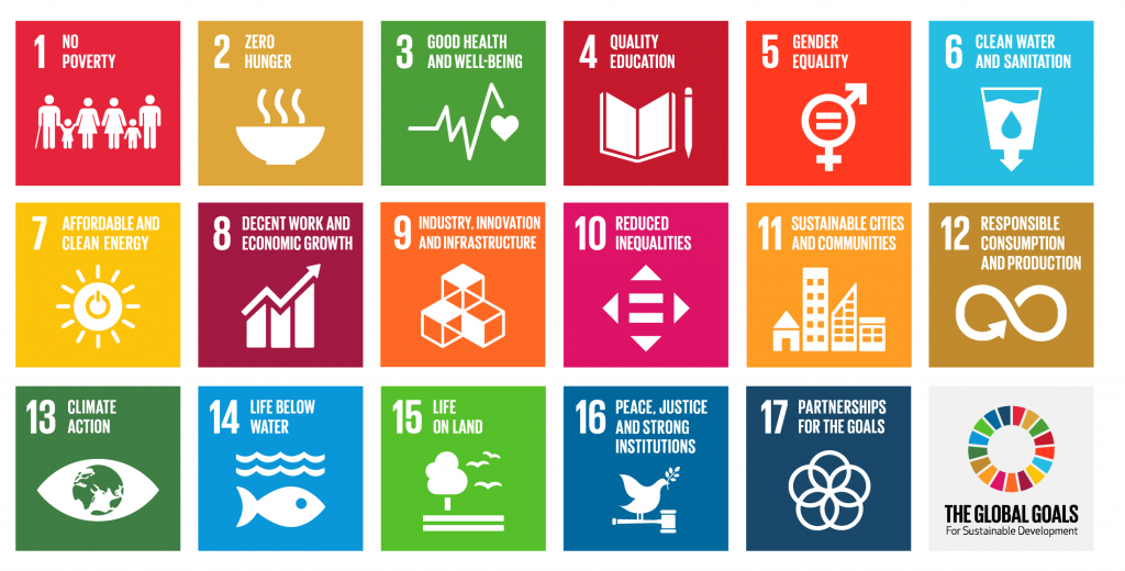 DWSI Sustainable Development Goals - DWSI